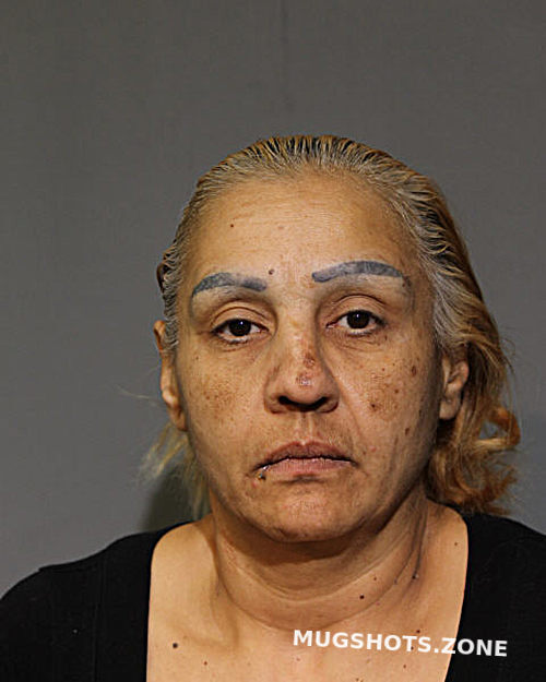 IRIS N ALVAREZ 04/19/2024 - Chicago Mugshots Zone