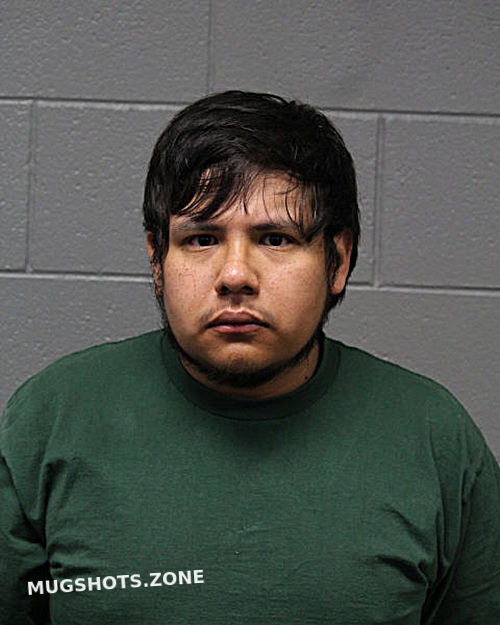 ALEJANDRO HERNANDEZ 04/20/2024 - Chicago Mugshots Zone