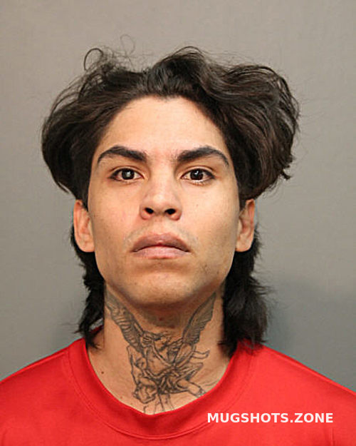 JESUS ALBERTO TORRES MARINO 04/23/2024 - Chicago Mugshots Zone