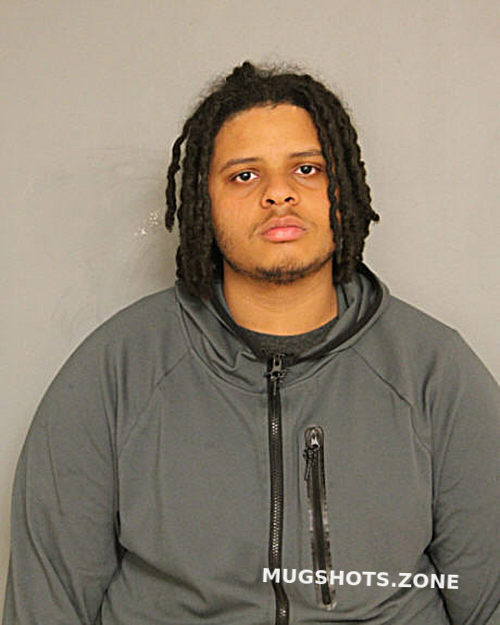 ALEXANDER KENT 04/25/2024 - Chicago Mugshots Zone