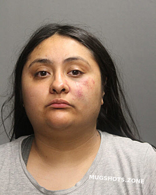 JENNIFER G ZAVALA 04/28/2024 - Chicago Mugshots Zone