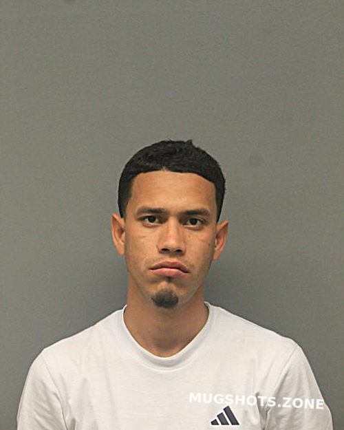 ERICK LECKNER ANDRADE FLORES 04/30/2024 - Chicago Mugshots Zone