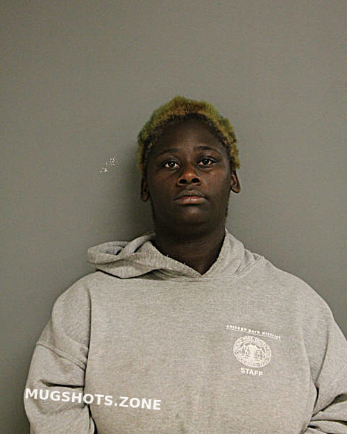 DESTINY ARNETTE SMITH 05/02/2024 - Chicago Mugshots Zone
