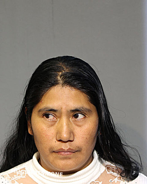 ELSA MARIA TOQUIZA VEGA 05/05/2024 - Chicago Mugshots Zone