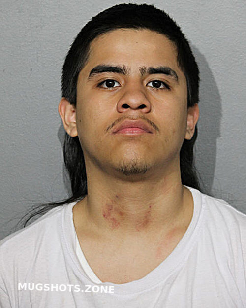ALEJANDRO F NUNEZ 05/07/2024 - Chicago Mugshots Zone