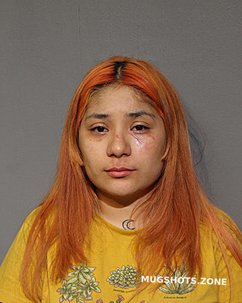 JEYMY A SANDOVAL CARRETO 05/15/2024 - Chicago Mugshots Zone