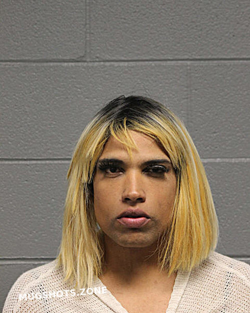 Kimora Marie Parker 05152024 Chicago Mugshots Zone