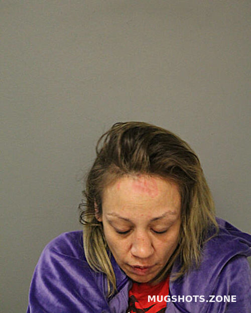 STEPHANIE K OLNEY 05/16/2024 - Chicago Mugshots Zone