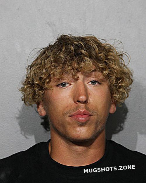 DUSTIN JOHN SCHERER 05/24/2024 - Chicago Mugshots Zone