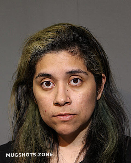 EMILEE N GUEVARA 05/29/2024 - Chicago Mugshots Zone