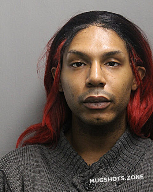 VICTORIA GREYSON 05/30/2024 - Chicago Mugshots Zone