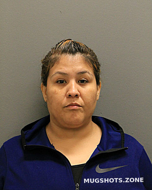 BRENDA D CARRILLO 06/03/2024 - Chicago Mugshots Zone