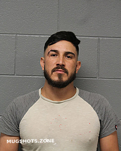 MARTIN DE JESUS VELOZ REYNOSO 06/06/2024 - Chicago Mugshots Zone