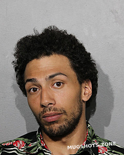 JESSE M MODJESKI 06/06/2024 - Chicago Mugshots Zone