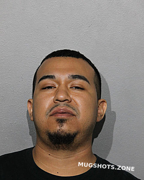 JAVIER PORTILLO 06/07/2024 - Chicago Mugshots Zone