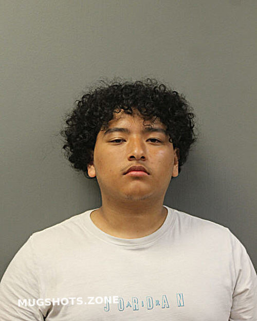 JOHAN T MARROQUIN 06/08/2024 - Chicago Mugshots Zone