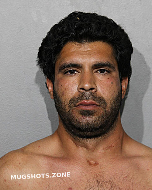 Lakshay Kumar Abbott 06 08 2024 Chicago Mugshots Zone