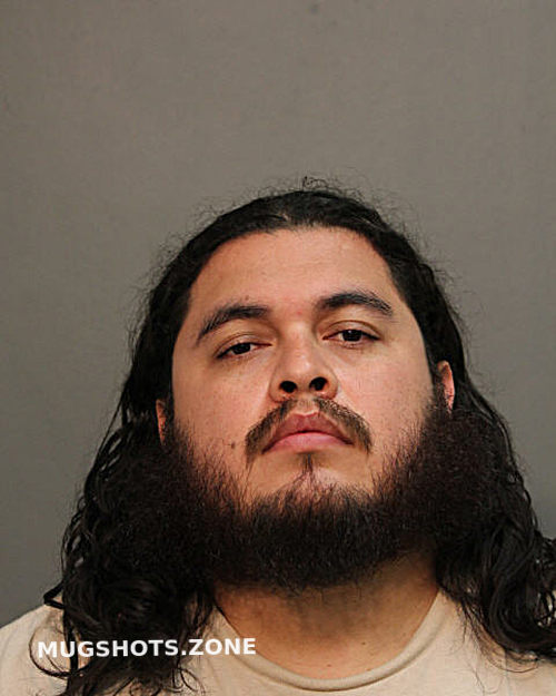 LUIS DAVID AVILES 06/09/2024 - Chicago Mugshots Zone