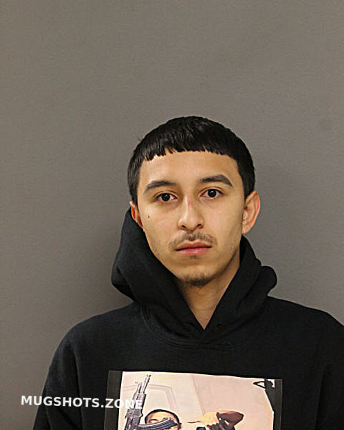 ALEX X MELERO 06/10/2024 - Chicago Mugshots Zone