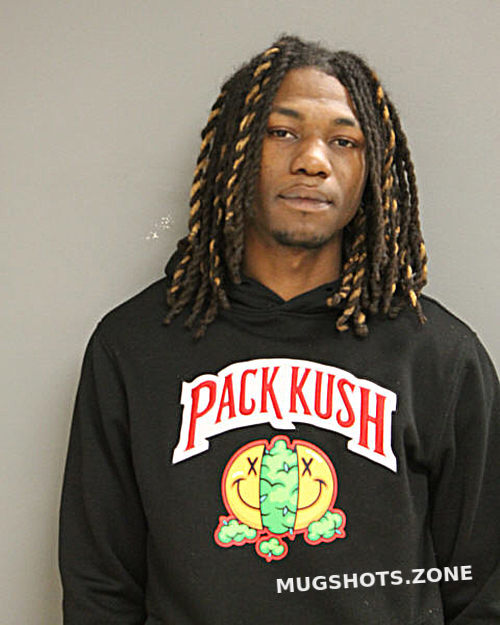 DEVANTE S ADAMS 06/11/2024 - Chicago Mugshots Zone