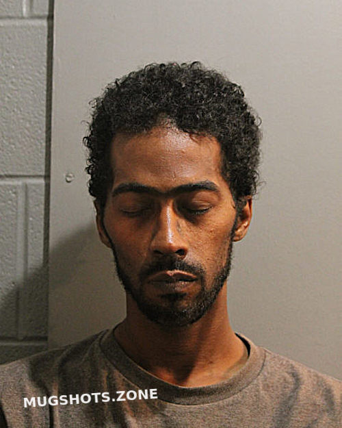 MICHAEL T DIAMOND 06/11/2024 - Chicago Mugshots Zone