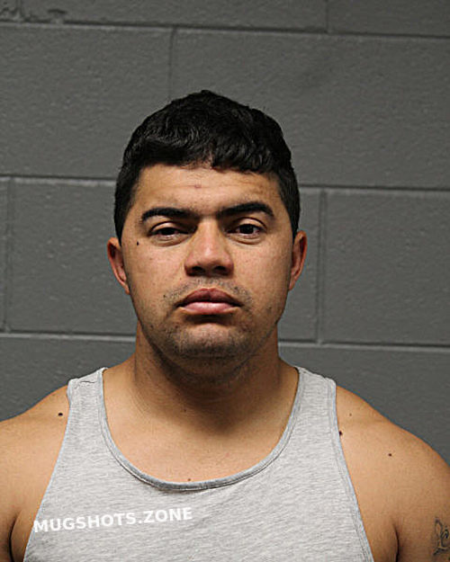 ANDRY ALEXIS VASQUEZ-AVARADO 06/14/2024 - Chicago Mugshots Zone