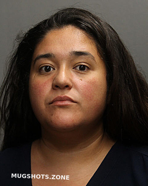 DELFINA I RODRIGUEZ 06/15/2024 - Chicago Mugshots Zone