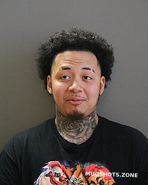 ARIES ALEXANDER SANDERS 06/15/2024 - Chicago Mugshots Zone