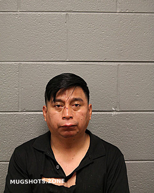 ANGEL G TOAPANTA VIVAS 06/15/2024 - Chicago Mugshots Zone