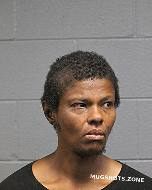 APRIL M EILAND 06/15/2024 - Chicago Mugshots Zone