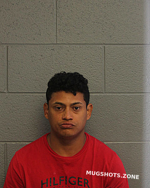 RONNY EDUARDO PEREZ-DURAN 06/16/2024 - Chicago Mugshots Zone