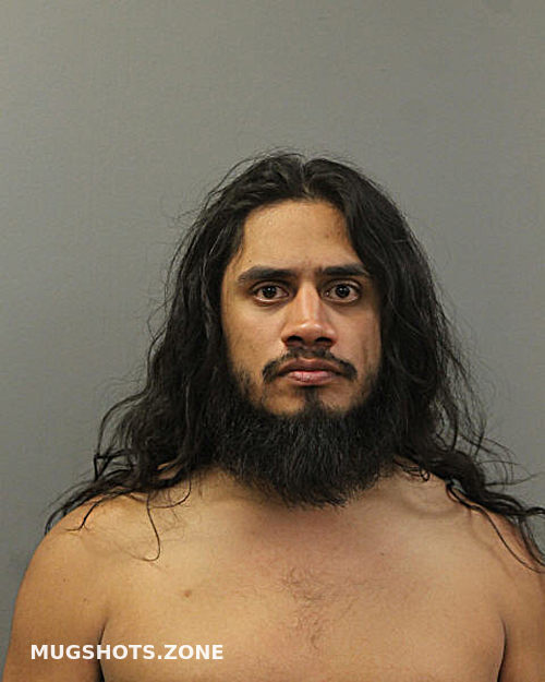 REINALDO ROLDAN 06/16/2024 - Chicago Mugshots Zone