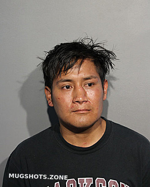 HENRY DAMEN CHUNCHO MORETA 06/17/2024 - Chicago Mugshots Zone