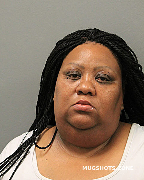 MICHIGAN TRAVIS 06/22/2024 - Chicago Mugshots Zone