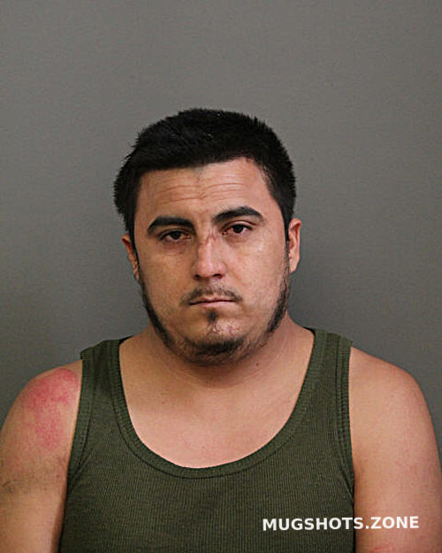 STEVE RUIZ SANTANA 06/23/2024 - Chicago Mugshots Zone