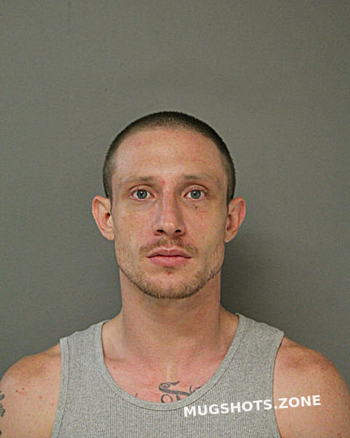 DAVID A CARTER 06/23/2024 - Chicago Mugshots Zone