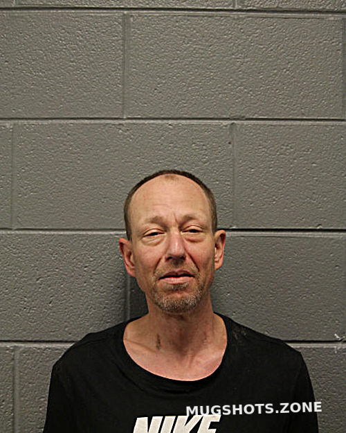 STEVEN E JOHNSON 06/25/2024 - Chicago Mugshots Zone