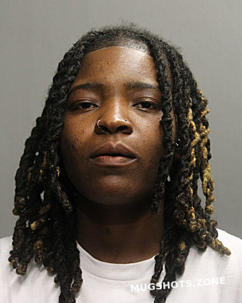 Sierra S Sanders 06 30 2024 Chicago Mugshots Zone