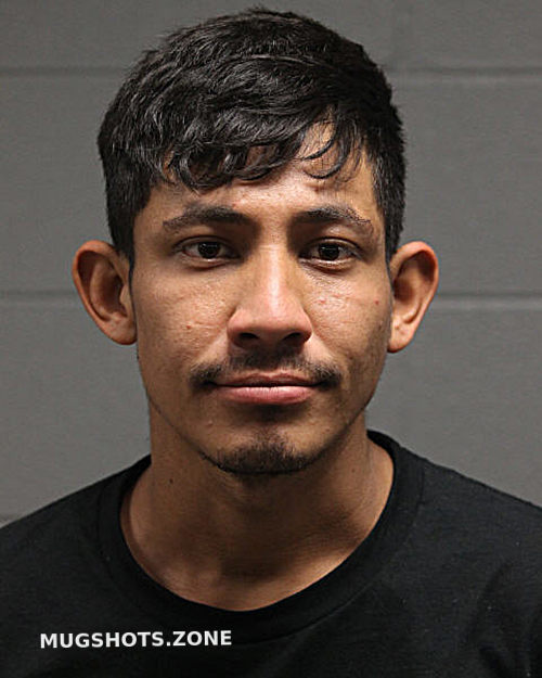 JACKSON FABIAN RAMIREZ GARCIA 07/02/2024 - Chicago Mugshots Zone