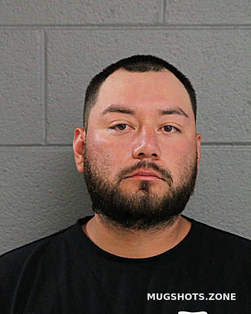 MARIO BRITO 07/02/2024 - Chicago Mugshots Zone