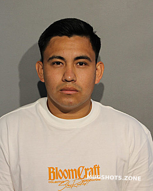 LESTER M ANDRADE-GARCIA 07/05/2024 - Chicago Mugshots Zone