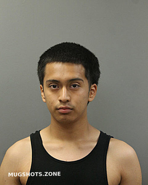 GUSTAVO I RENDON 07/06/2024 - Chicago Mugshots Zone