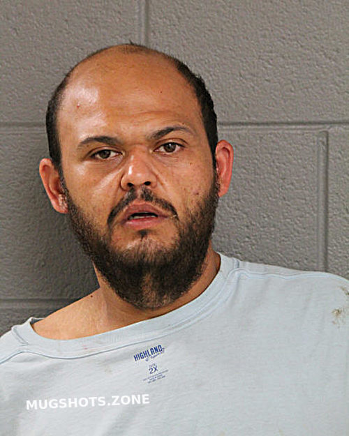 PETER ELY 07/08/2024 - Chicago Mugshots Zone