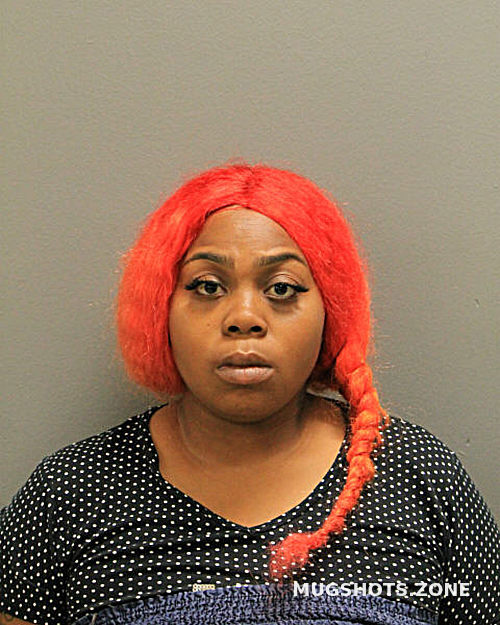 MICAELA L MCCLELLAN 07/08/2024 - Chicago Mugshots Zone