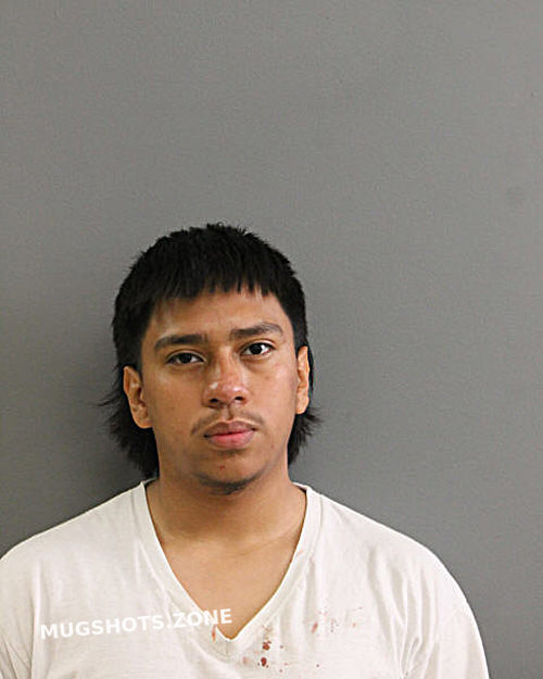 ALEXIS A CARDENAS 07/11/2024 - Chicago Mugshots Zone