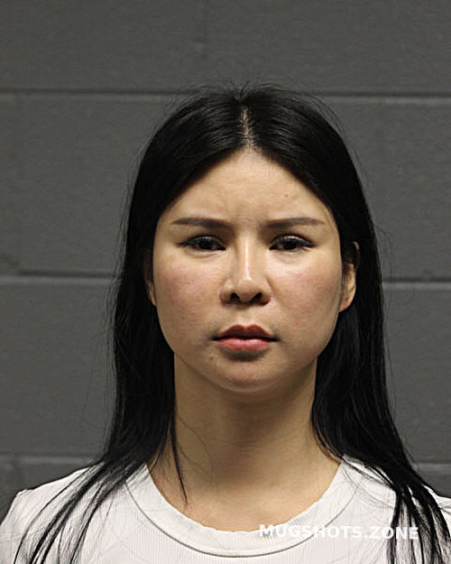 JIPING ZHANG 07/11/2024 - Chicago Mugshots Zone