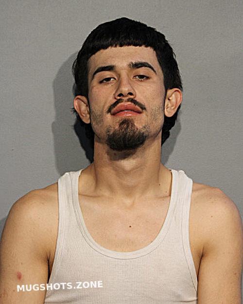 ALEXIS Y GOMEZ LOZANO 07/13/2024 - Chicago Mugshots Zone