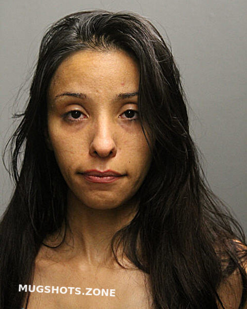 HASTI ABEDIAN 07/14/2024 - Chicago Mugshots Zone