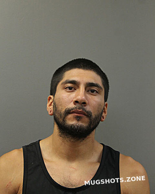 GEORGE ROMAN 07/15/2024 - Chicago Mugshots Zone