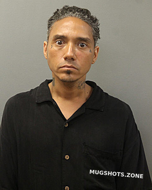 RAY J CORTES 07/16/2024 - Chicago Mugshots Zone
